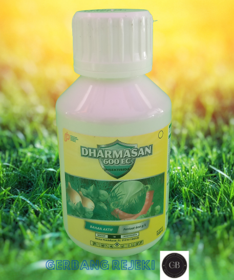 INSEKTISIDA DHARMASAN 600 EC (Fentoat 600 g/l) 100ml | Lazada Indonesia