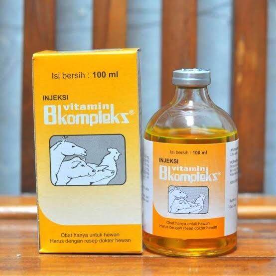 Vitamin B Kompleks Injeksi 100ml Untuk Unggas dan Hewan / Vitamin obat ...