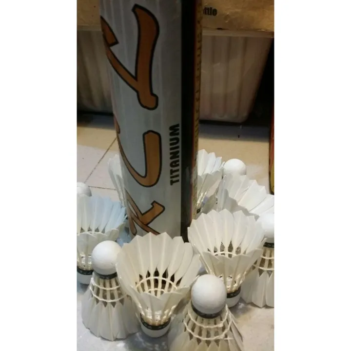 Badminton Shuttlecock (RCL) | Lazada