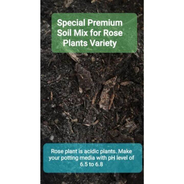 soil city SpecialRose Plant Soil/ 200 pesos 3 kgs. Your acidic plants ...
