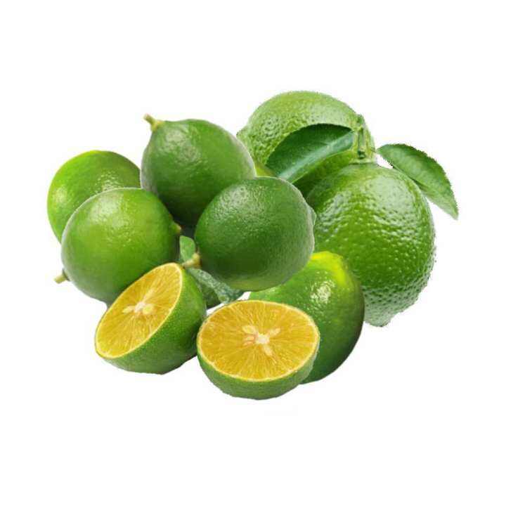 Key Lime or Dayap Bundle (0.95-1kg) | Lazada PH
