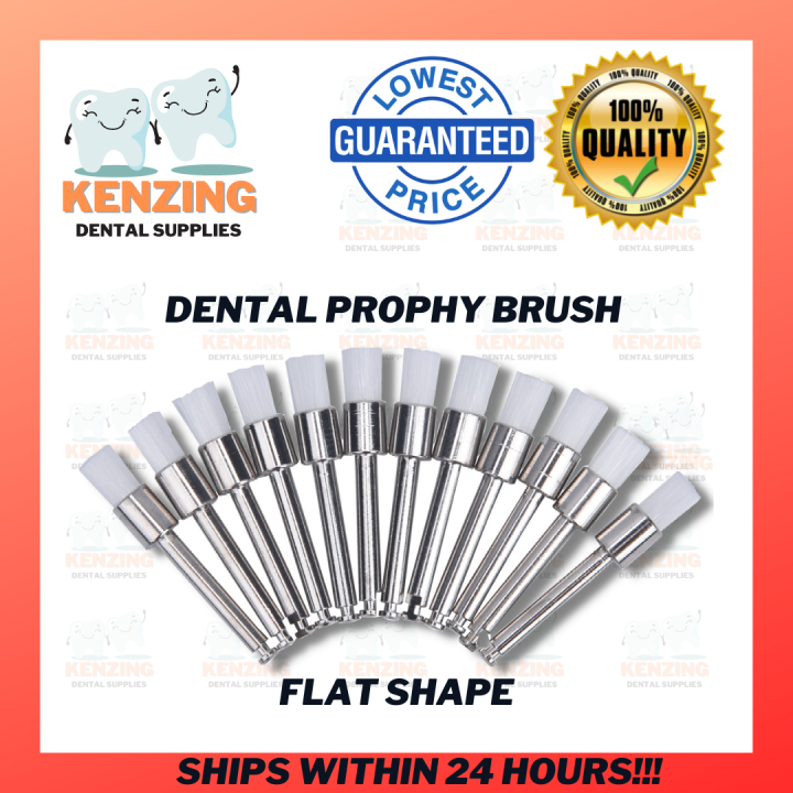 Dental Prophy Brush Flat Shape sold per piece | Lazada PH