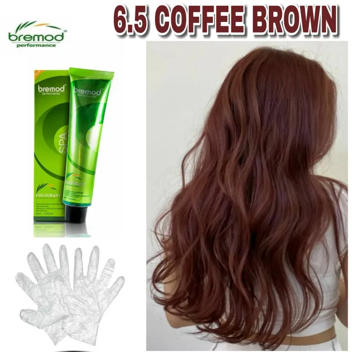 BREMOD 6.5 COFFEE BROWN Permanent Hair Color (100ml) set with Oxidizer ...