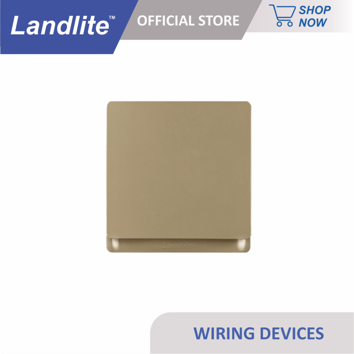 Landlite Wiring Devices LWD-Q6-1G1W-CPG | Lazada PH