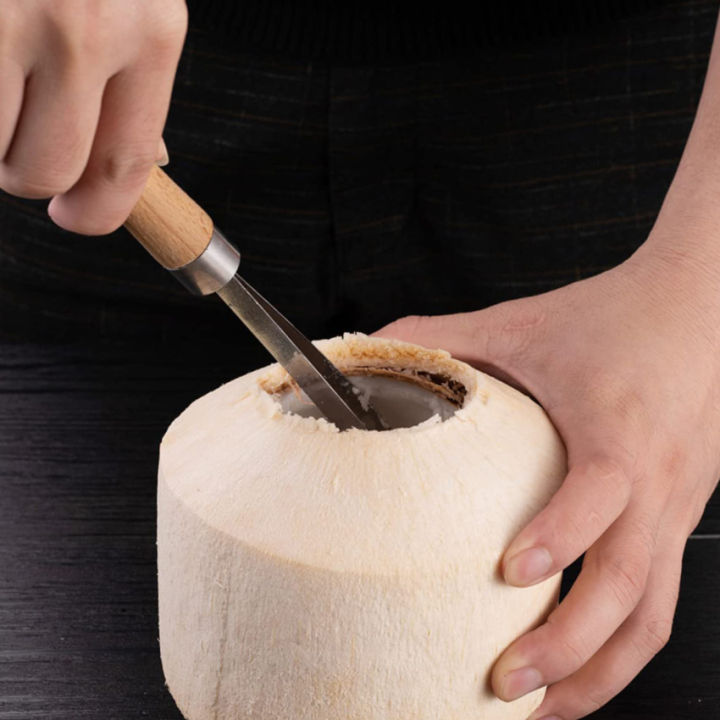 Coconut Meat Remover Stainless Steel Scraper Coconut Silk Digging ...