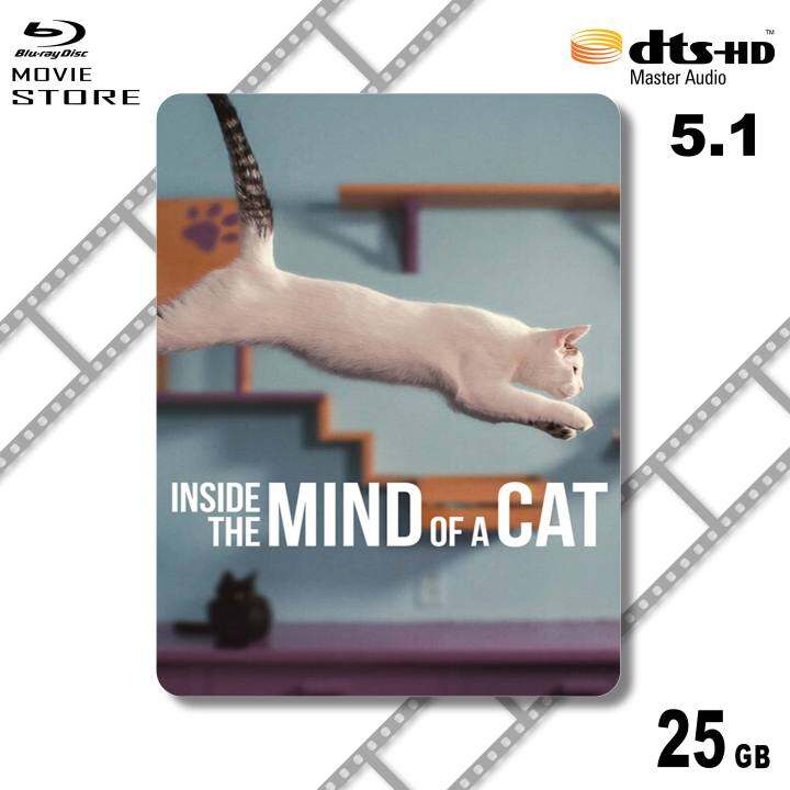 Inside The Mind Of A Cat 2022 Bluray Documentary | Lazada