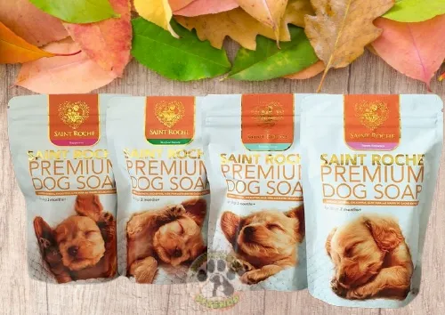 Saint Roche Premium Organic Soap 135g - Mother Nature Scent | Lazada PH