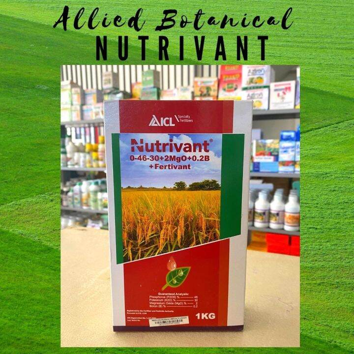 NUTRIVANT 0-46-30 1KG | Lazada PH