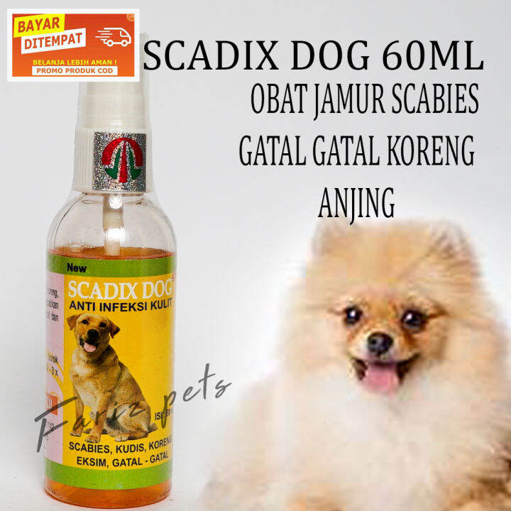 OBAT JAMUR SCABIES GATAL GATAL KORENG ANJING SCADIX DOG | Lazada Indonesia
