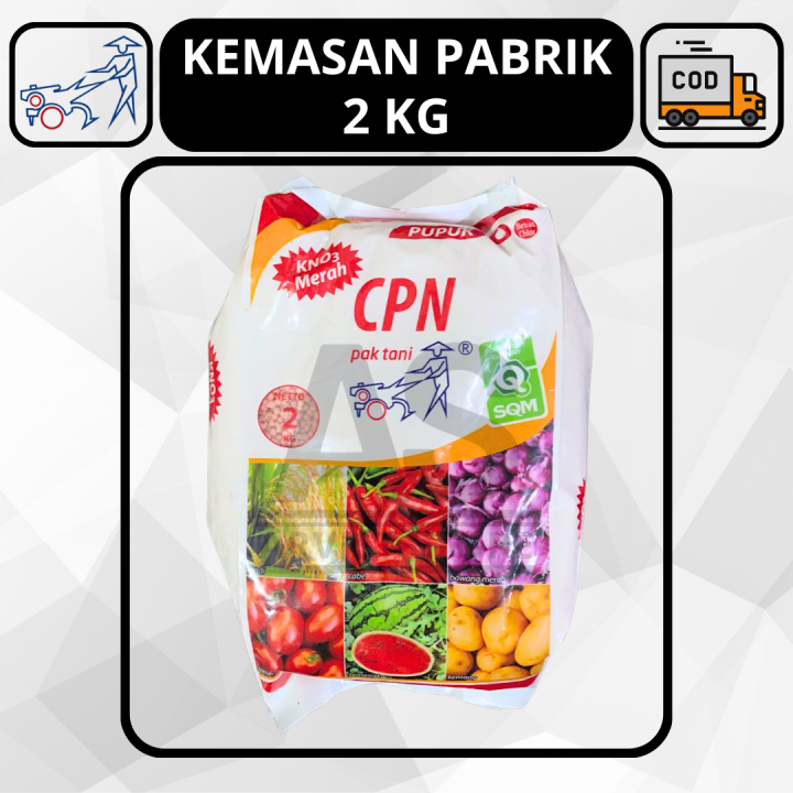 Pupuk KNO 3 MERAH CPN 15-0-14 2 Kg Pak Tani Saprotan Utama KNO3 | Lazada Indonesia