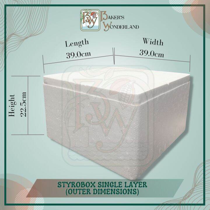 Styrobox | Ice Box | Coolers (Capacity 21.5L) | Lazada PH