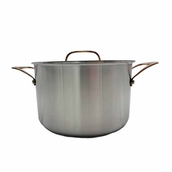 Delighto 5.5L Rossy Series Stainless Steel Soup Pot 3001 (24cm) | Lazada