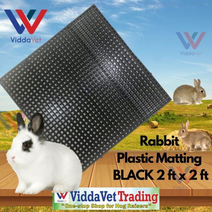 2 ft X 2 ft Rabbit matting Black Heavy Duty Plastic Matting for Rabbits ...