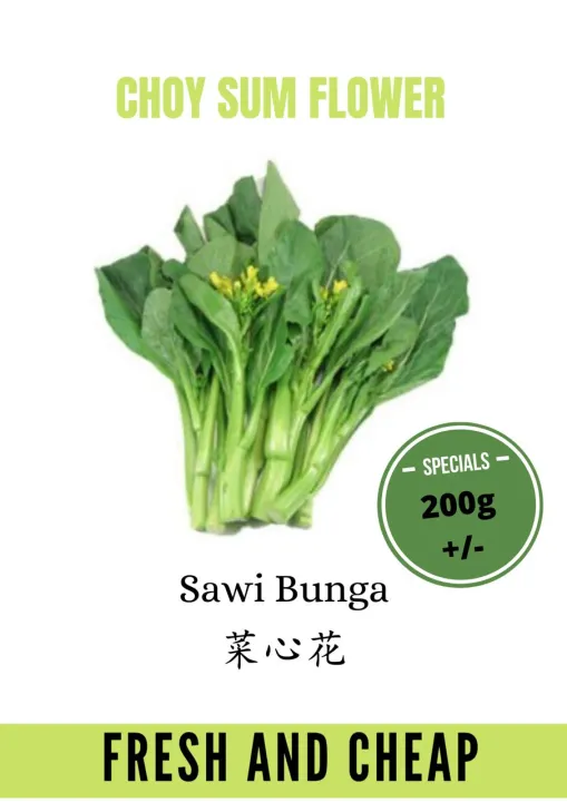 FRESH CHOY SUM FLOWER 新鲜菜心花 SAWI BUNGA SEGAR 200g | Lazada