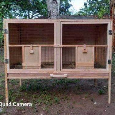 Kandang Burung Merpati Dara Hias | Lazada Indonesia