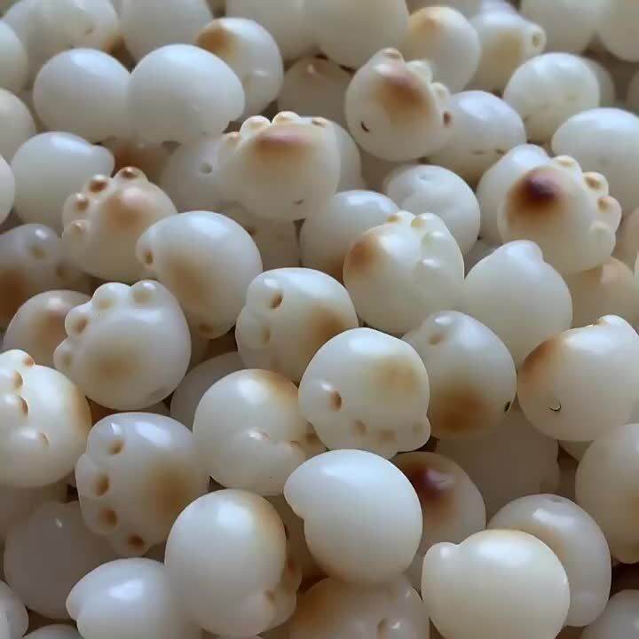 Natural Bodhi Bead Charcoal Grilled Cat's Paw White Jade Bodhi Carved ...