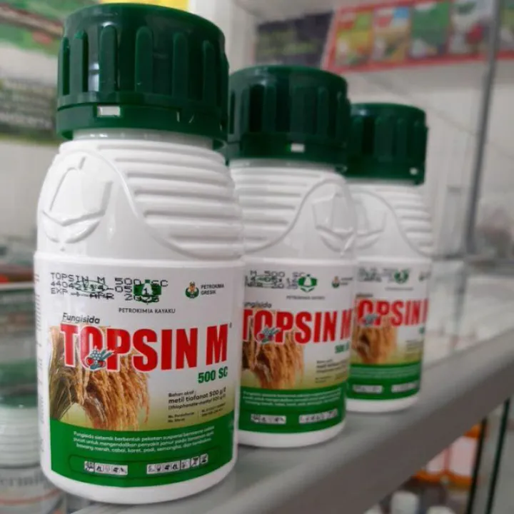 Topsin 500SC 500ml Fungisida Obat Pembasmi Jamur Pada Tanaman | Lazada ...