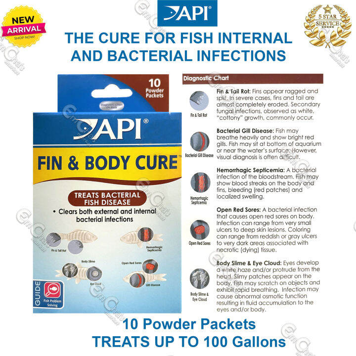 API Fin and Body Cure (10 Powder Packs) treats up to 100 Gallons (fmed ...