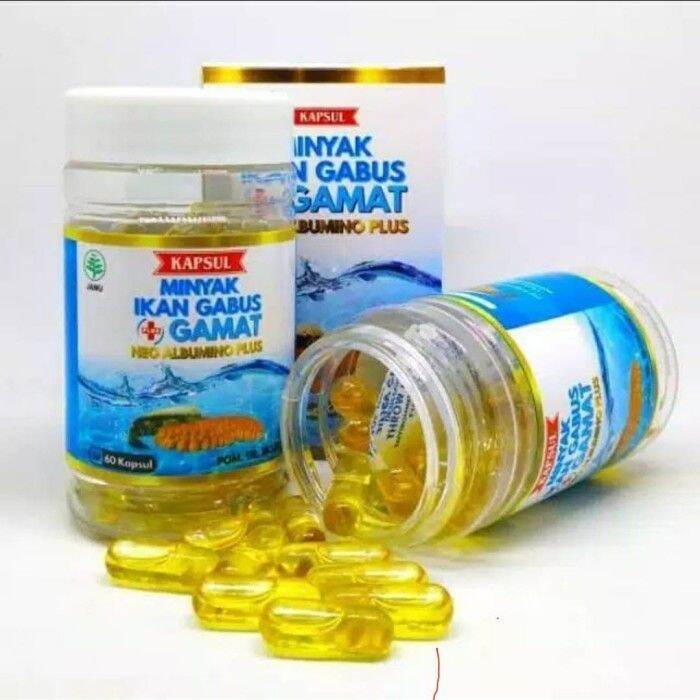 KAPSUL MINYAK IKAN GABUS PLUS GAMAT neo albumino obat luka nyeri sendi | Lazada Indonesia