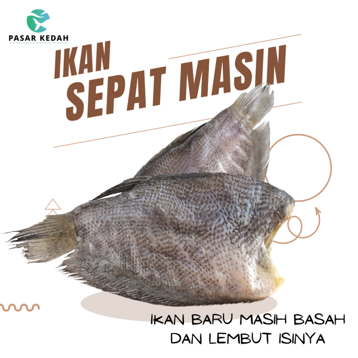 PRODUK MUSLIM Ikan Sepat Masin | Salted Gourami Fish Tanjung Dawai ...