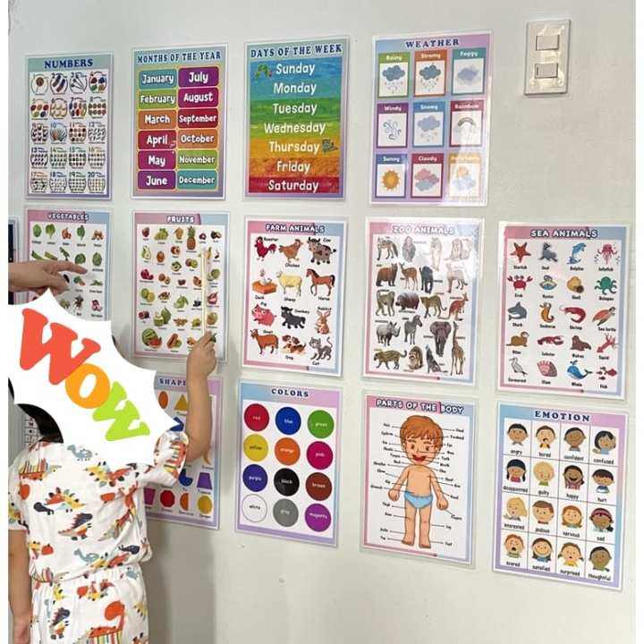 BUNDLE LAMINATED EDUCATIONAL CHART | Lazada PH
