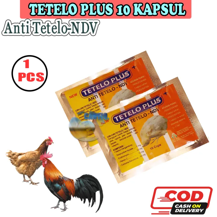 Icantiq Tetelo Plus isi 10 Kapsul Obat Anti Tetelo Ndv Ayam Obat Ayam Tetelo Obat Ayam Stress ...