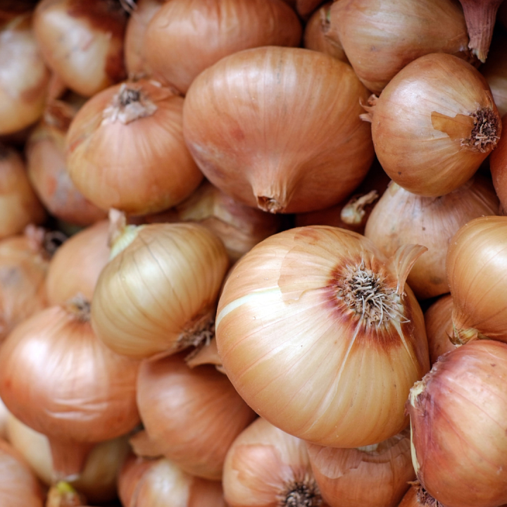 OCHELS White Onion (Sibuyas na Puti) 1 Kilo | Lazada PH