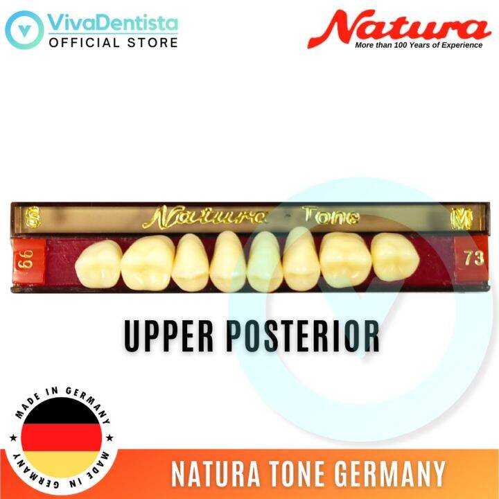 Natura Tone Germany (Upper Posterior) Cross-linked Acrylic Resin Teeth ...