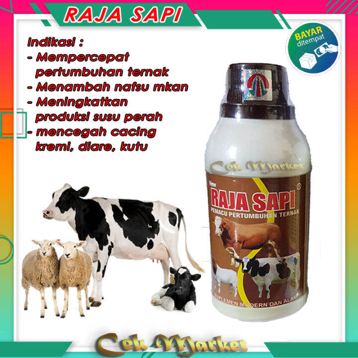 Raja Sapi - Vitamin Hewan Ternak Suplemen Penambah Nafsu Makan Sapi ...