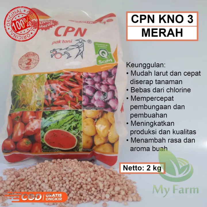 Kno 3 ( Kno3 ) Merah Cpn Pak Tani 2 Kg Pupuk Nitrat Pertumbuhan Tanaman ...