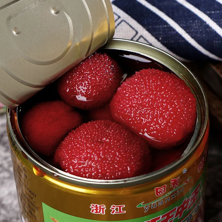 ZEJUN Canned Bayberry Syrup 312g Fresh Seasonal Fruit Ready-to-eat Can ...