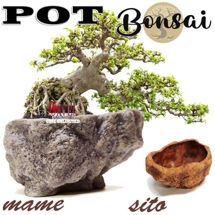 POT POHON BONSAI MAME SITO RELIEF POT TANAMAN SANCANG KIMENG AZALEA ...
