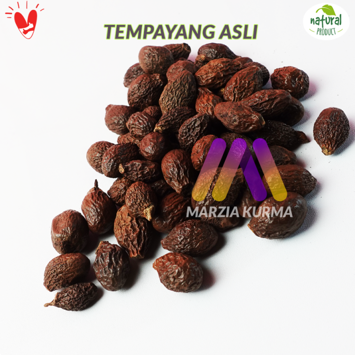 Buah Tempayang / Malva Nut / Antehai Kering 100gr - Asli Minangkabau ...