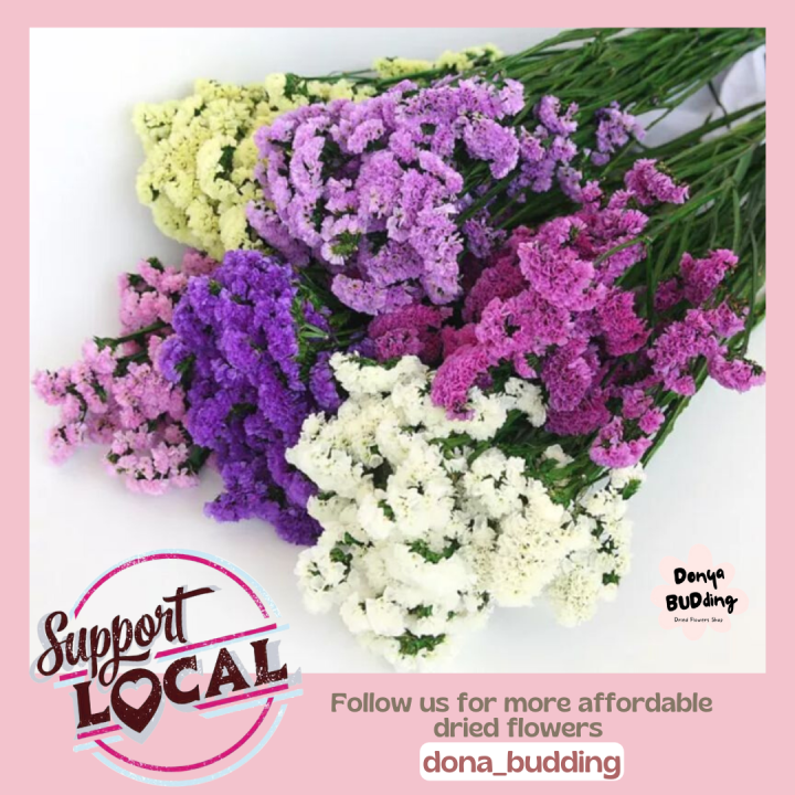Dried Flower Imported Statice | Donya BUDding | Lazada PH