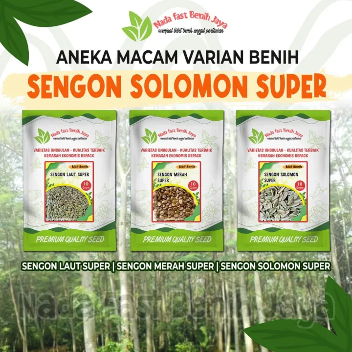 Aneka macam varian benih sengon solomon super asli / benih sengon laut ...