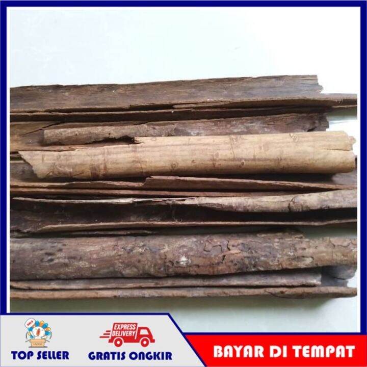Jamu Herbal Tradisional Kulit Kayu Mesoyi 1kg Masohi Masoyi Asli Asli ...