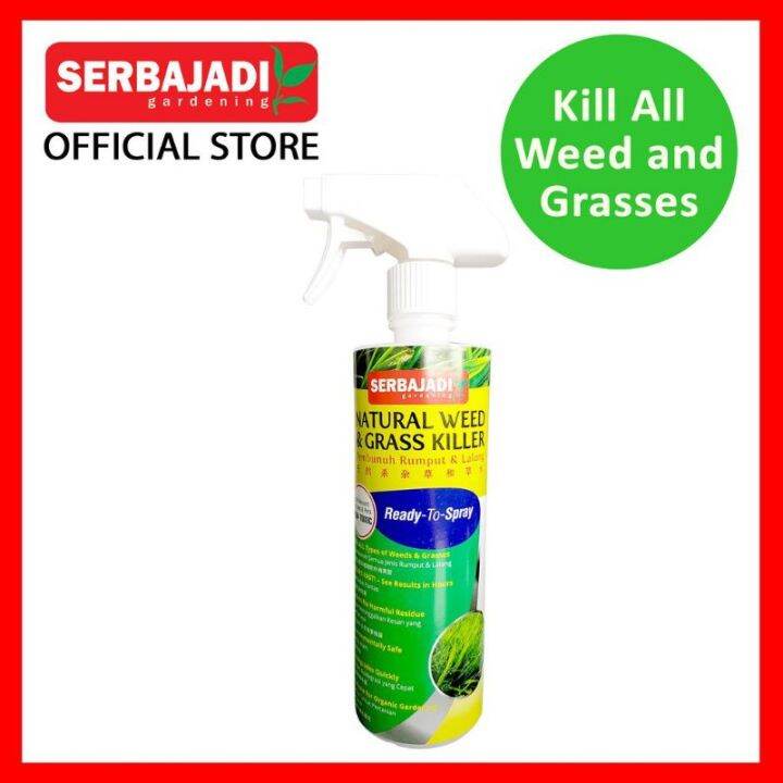 Racun Rumput Liar/Racun Rumpai/Racun lalang/ubat halau serangga/racun ...