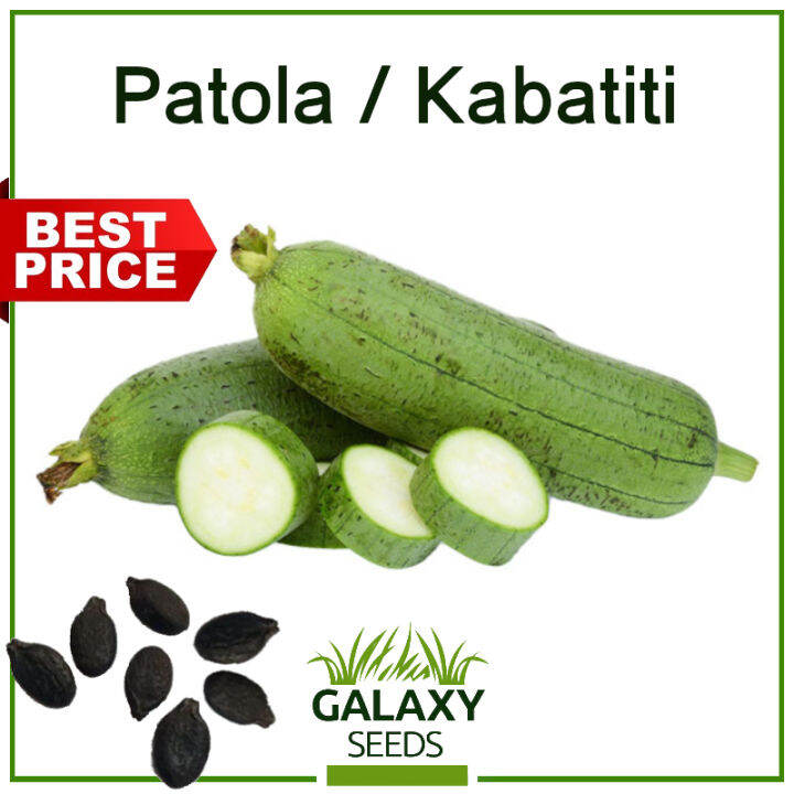 [Galaxy Seeds] Value Pack - Patola Seeds for Planting Vegetable Plants ...