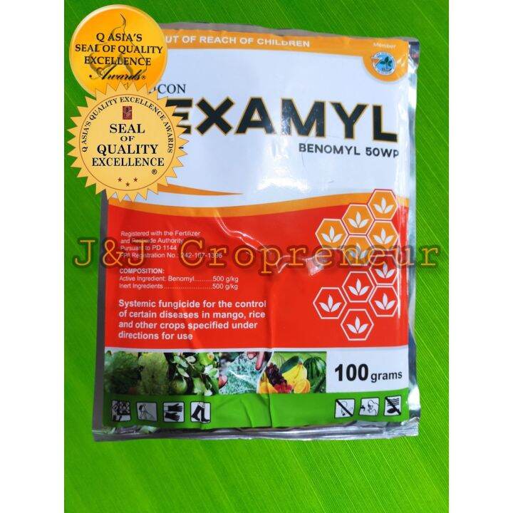 Texamyl Fungicide Benomyl 50WP 100g | Lazada PH