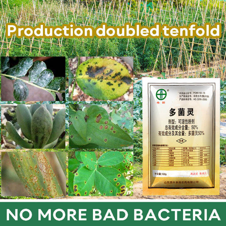 WDM 🌾Bad acteria extinct🦠Fungicide for plants Double your output with ...