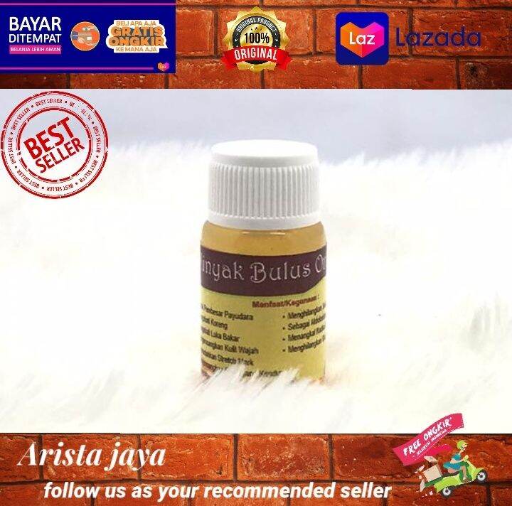 Minyak Bulus Asli - Arista Jaya | Lazada Indonesia