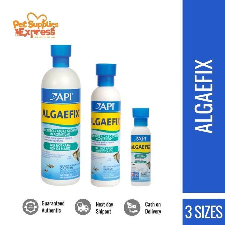 API Algaefix Bottle 4oz | Lazada PH