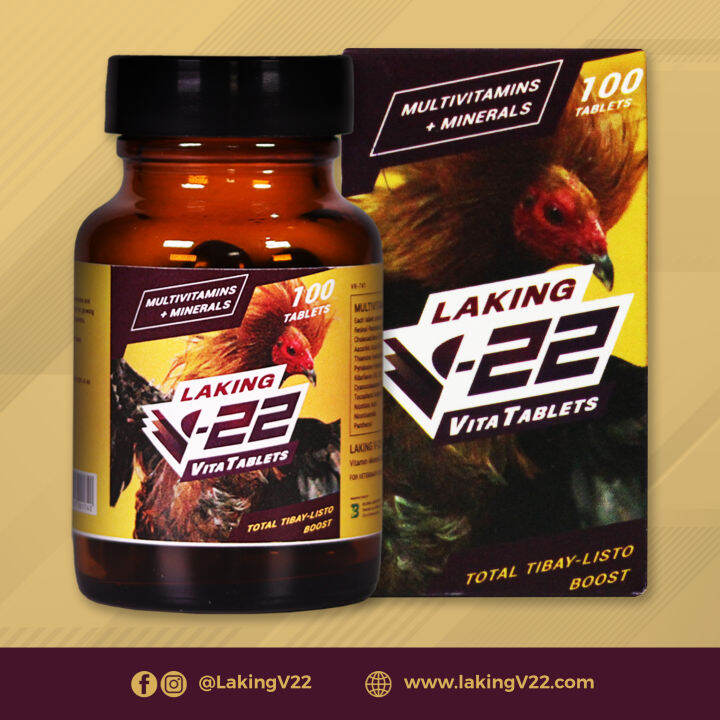 Laking V-22 VitaTablet 100s | Lazada PH