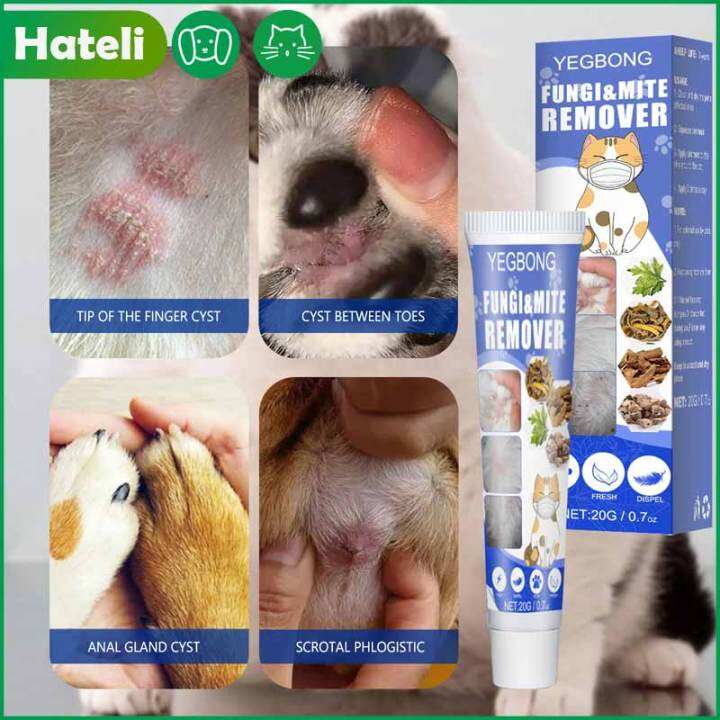 HATELI Dog Mite Removal Ointment Pet Skin Anti Itch Cats Fungus Mite ...