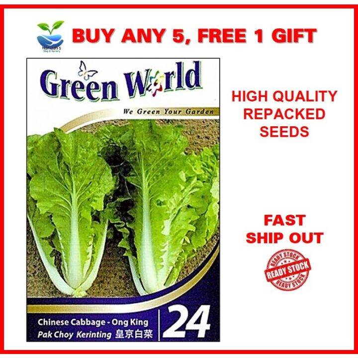 50++ biji benih Chinese Cabbage ONG KING pak choy kerinting seeds | Lazada