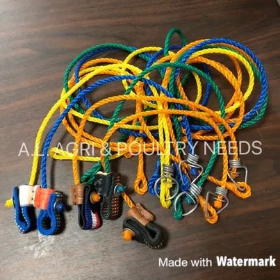 Tali Ordinary for Gamefowl - Assorted Color | Lazada PH