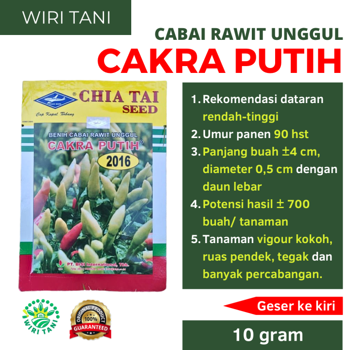 Benih Cabai Cakra Putih 10 gram Cap Kapal Terbang | cabai rawit putih ...