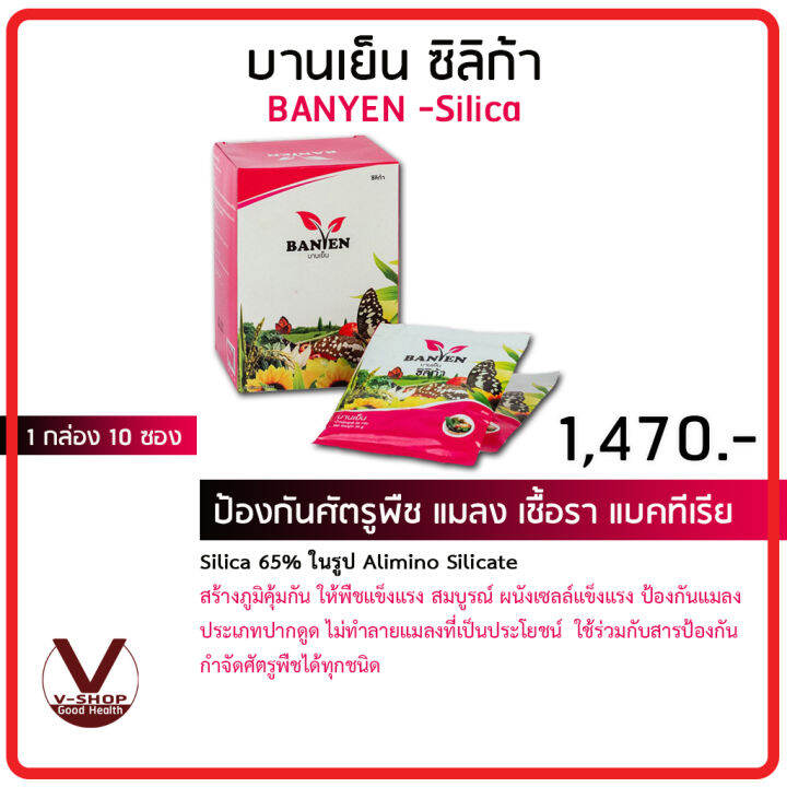 Banyen บานเย็น ซิลิก้า เหมาะสำหรับพืชทุกชนิด เกษตรกรทุกคน (3 กล่อง ...