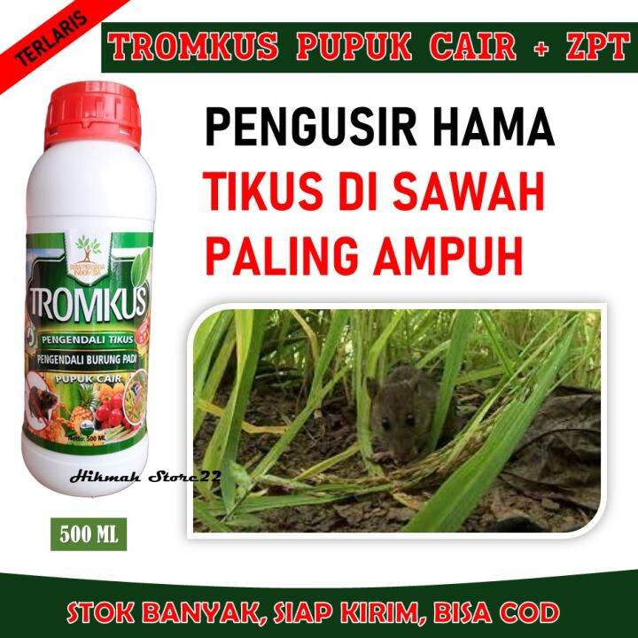 Pestisida Untuk Hama Tikus Tromkus 500 Ml Insektisida Untuk Tikus Sawah ...
