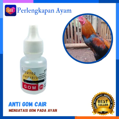 Anti Goom Cair Obat Goham Ayam Obat Manikan Sariawan Panas Dalam Ayam ...